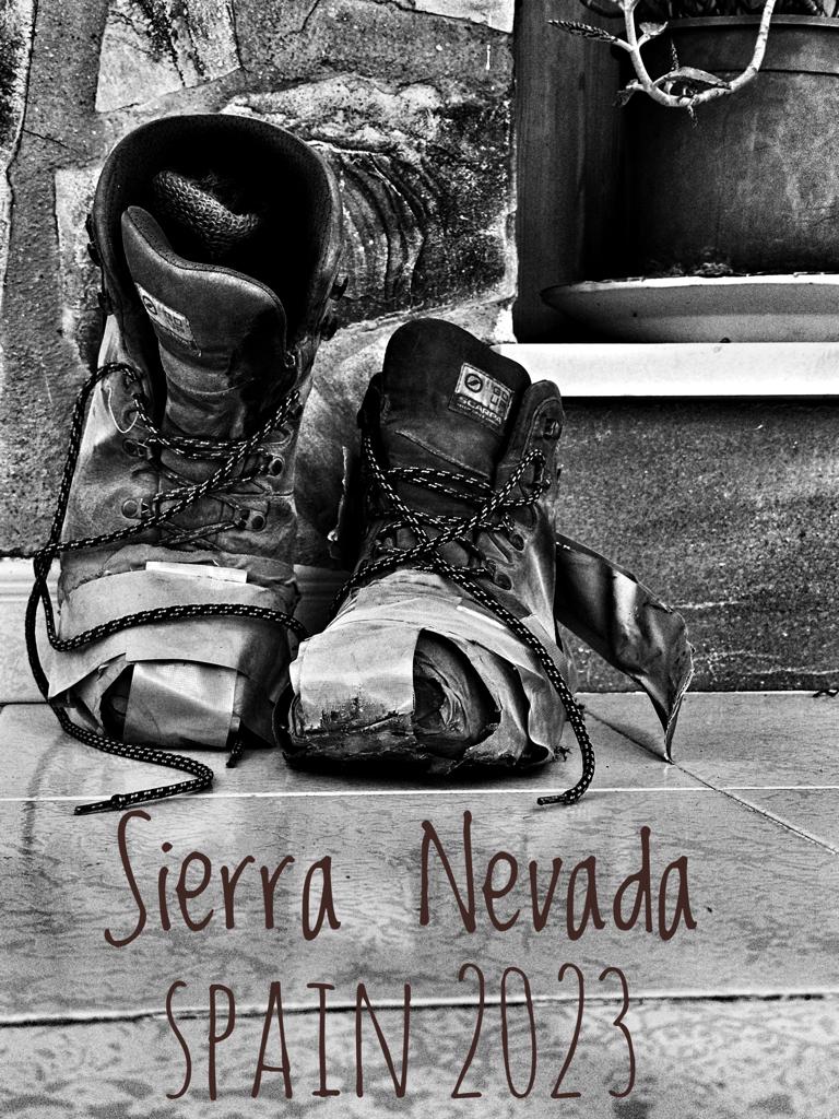 Generosity – Australia's finest single origin