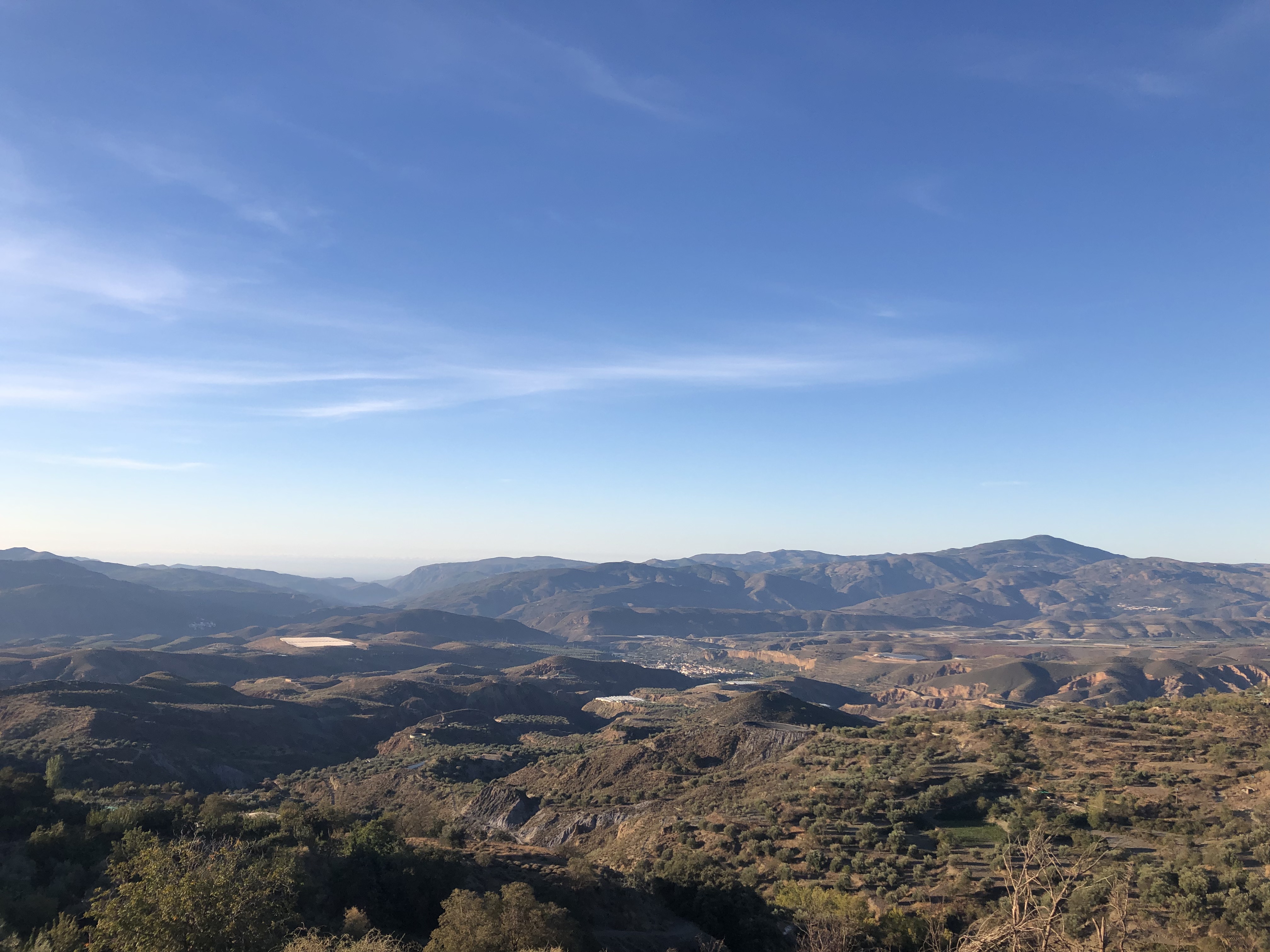 Generosity – Australia's finest single origin